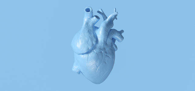 Heterotaxy: Mitochondria promote heart defects